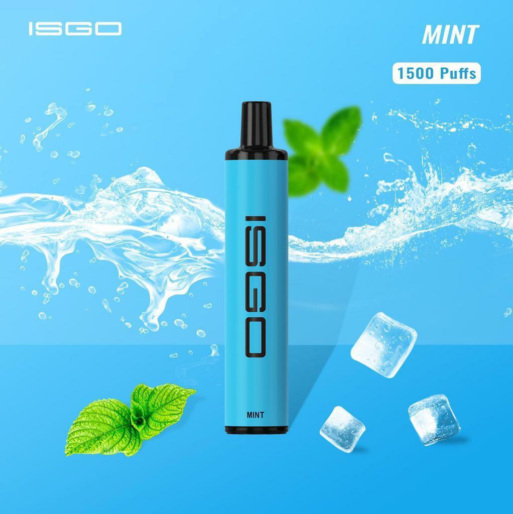 ISGO PARIS Mint Disposable kit in Dubai - Vape Shop Dubai